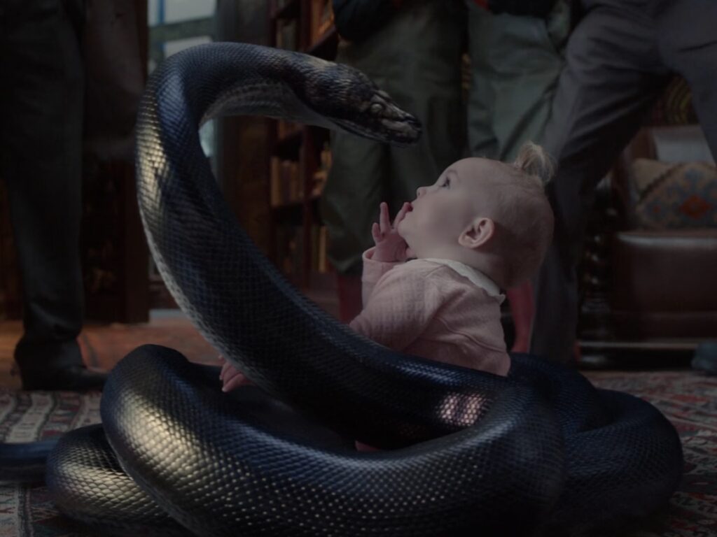 Dr. Montgomery Montgomery: El Tío Monty y su Fascinante Mundo Reptil ...