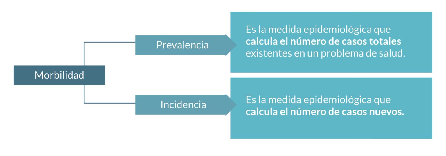 Prevalencia en Epidemiología: ¿Cuándo y Por Qué se Usa? | Kaboom Eventos