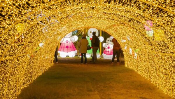 Descubre Parque Naucalli: Actividades, Horarios y Más | Kaboom Eventos